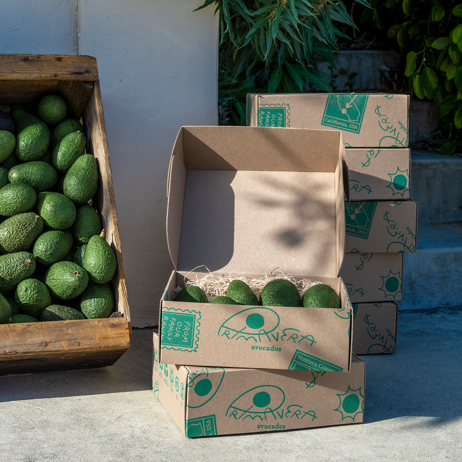 Primavera Avocados